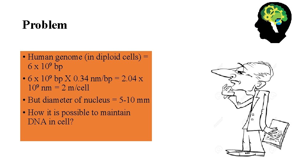 Dr Abdul Qayyum Rao Associate Professor CEMB PU