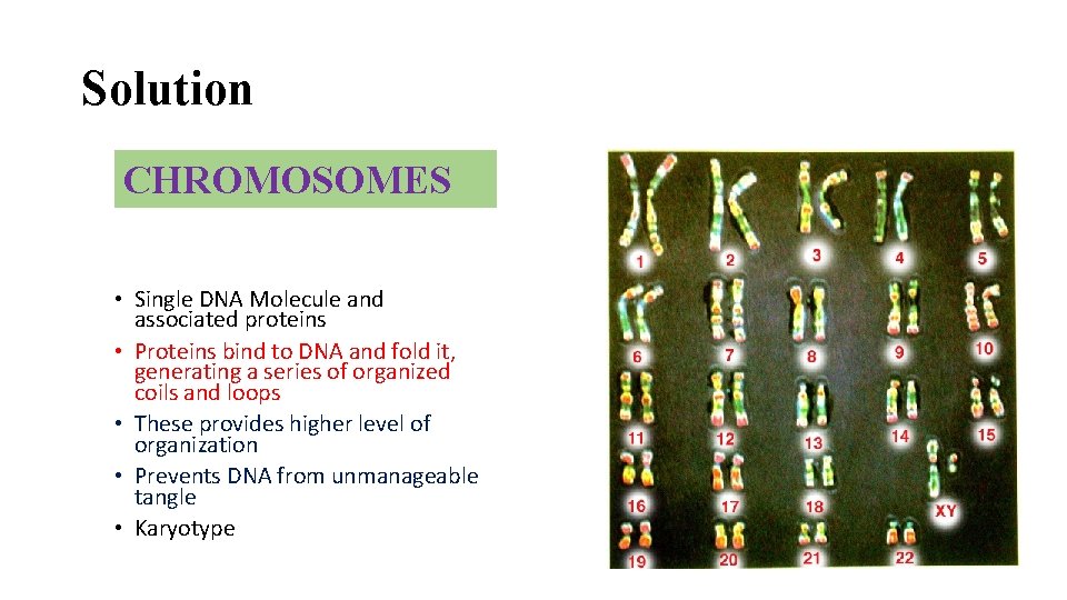 Dr Abdul Qayyum Rao Associate Professor CEMB PU