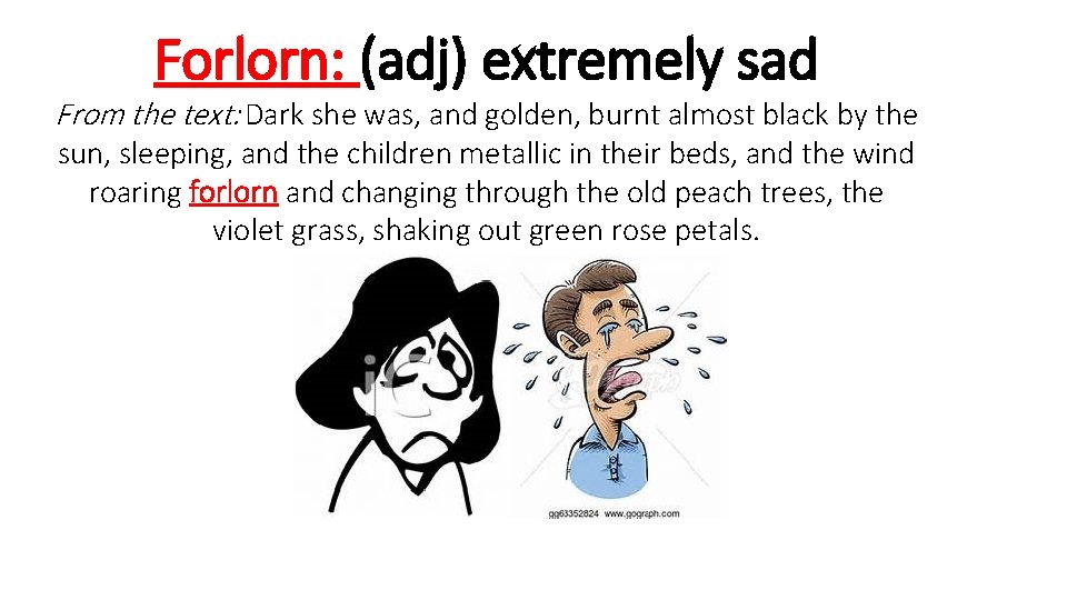 Vocabulary Words for Dark they were and Golden