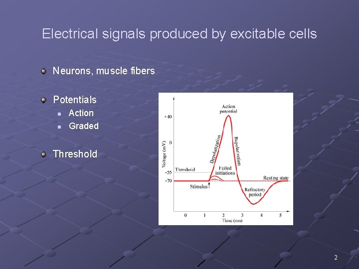 Receptors 1 Electrical signals produced by excitable cells