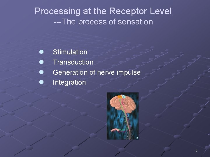 Receptors 1 Electrical signals produced by excitable cells