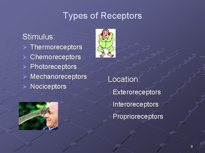 Receptors 1 Electrical signals produced by excitable cells