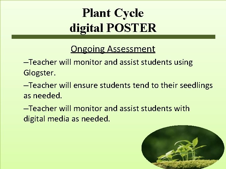 Plant cycle Digital POSTER By Heather Bush EDT