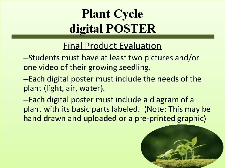 Plant cycle Digital POSTER By Heather Bush EDT