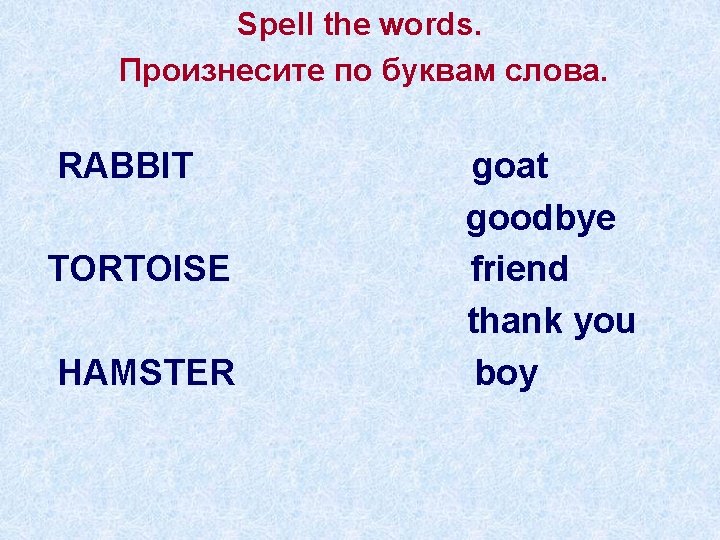Spell the words RABBIT TORTOISE HAMSTER goat goodbye
