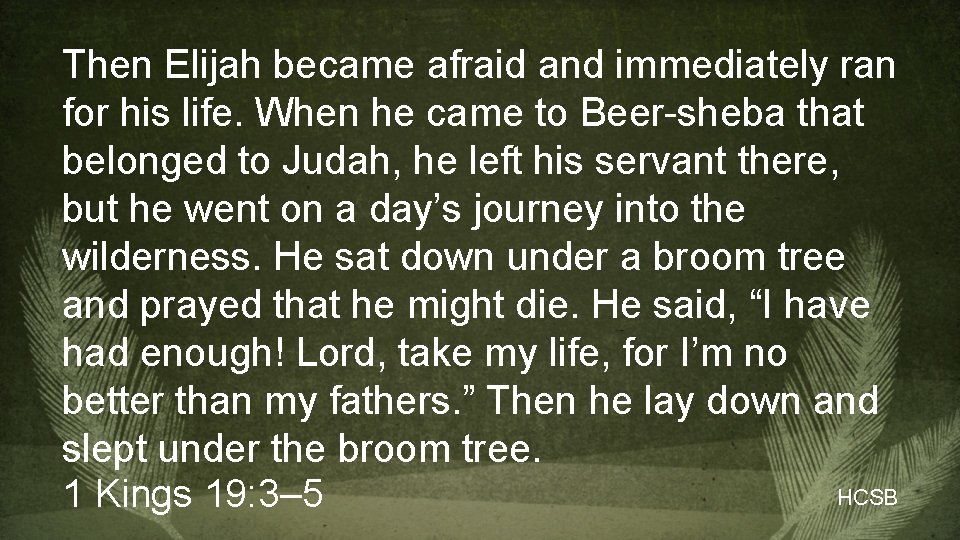 Under the Broom Tree 1 Kings 19 1