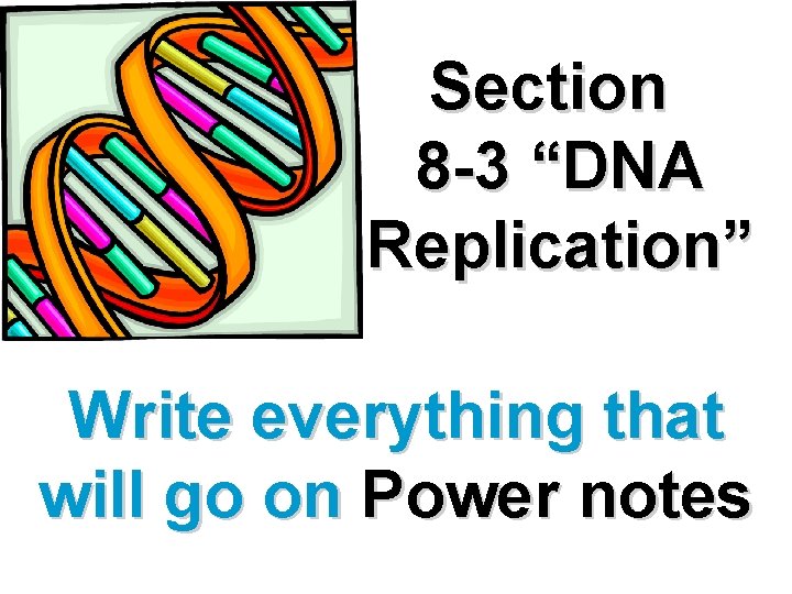 Section 8 3 DNA Replication Write everything that
