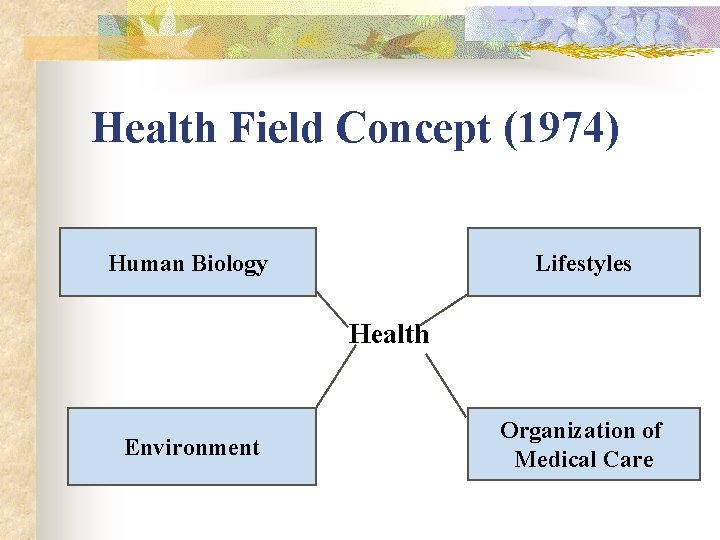 Public Health Health Promotion Population Health Week 3
