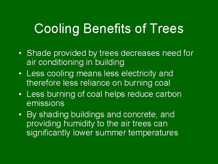 New York City Million Trees Initiative By Arthur