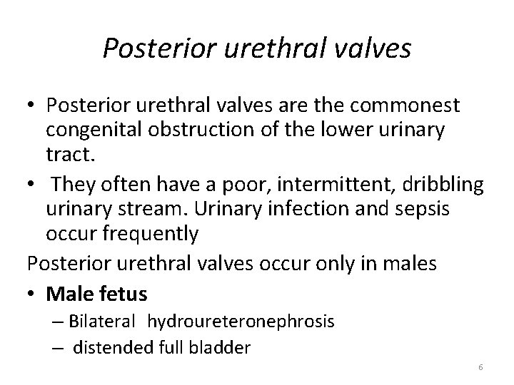 Urethra congenital anomaly injuries Dr Ammar Fadil 1