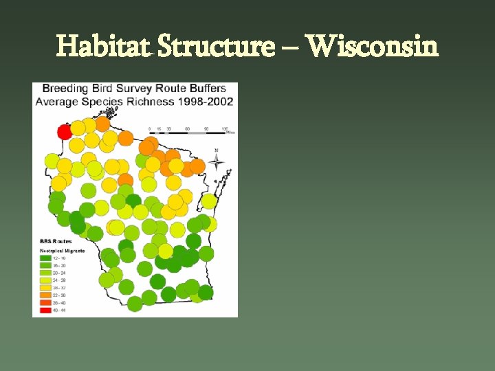 Remote Sensing and Avian Biodiversity Patterns in the