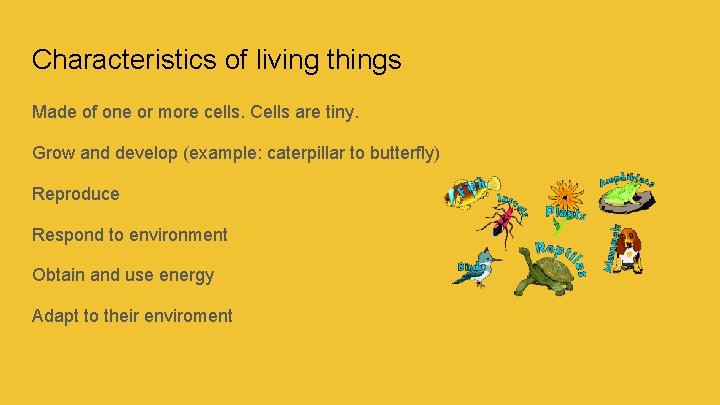 Living things Characteristics of living things Made of