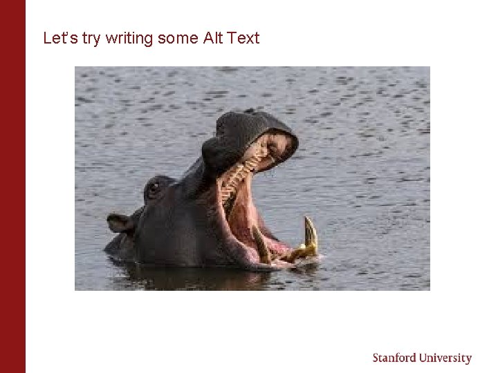 Writing Effective Alternative Text Robin Cole Alternate Format