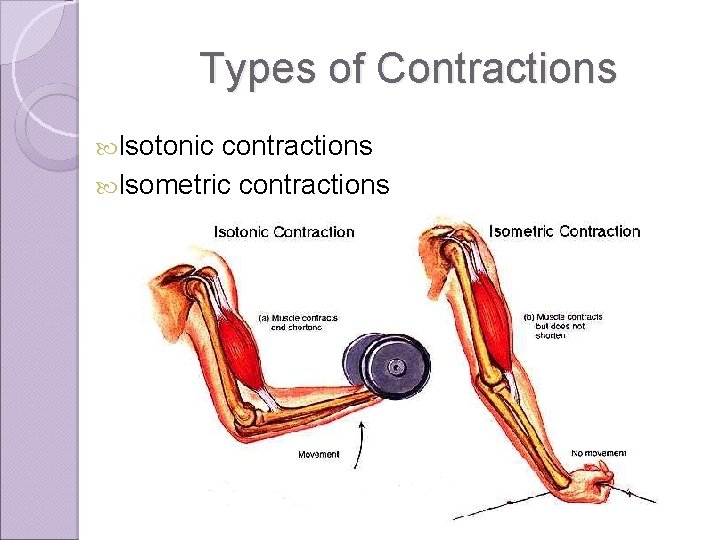 Muscular movement bone growth and nerve transmission Physiology