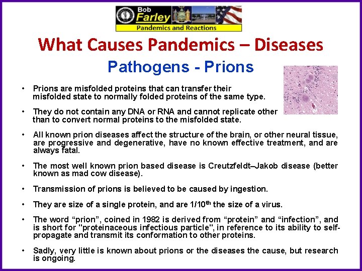 Pandemics and Reactions An Overview and Analysis Pandemics