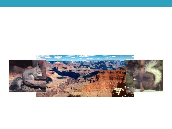 POPULATION GENETICS AND EVOLUTION Can individuals evolve Can