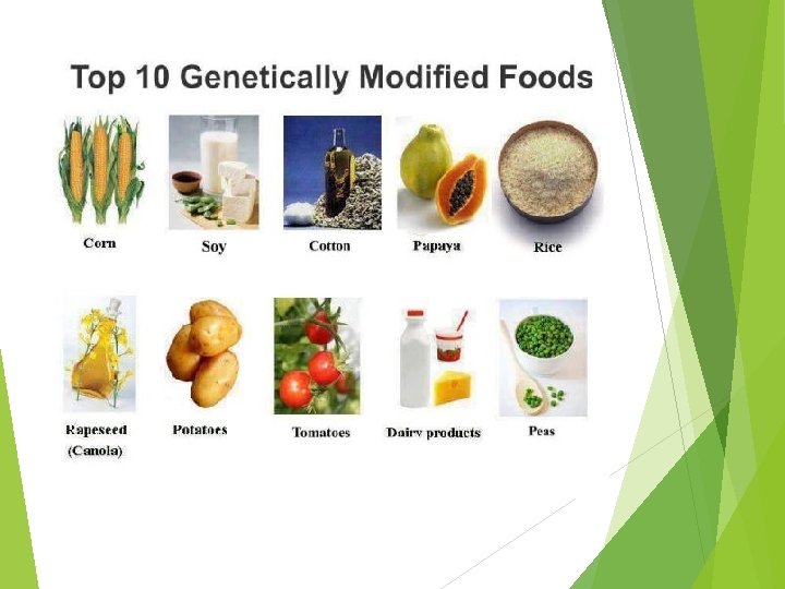 International rules and regulations for biosafety and GMOs