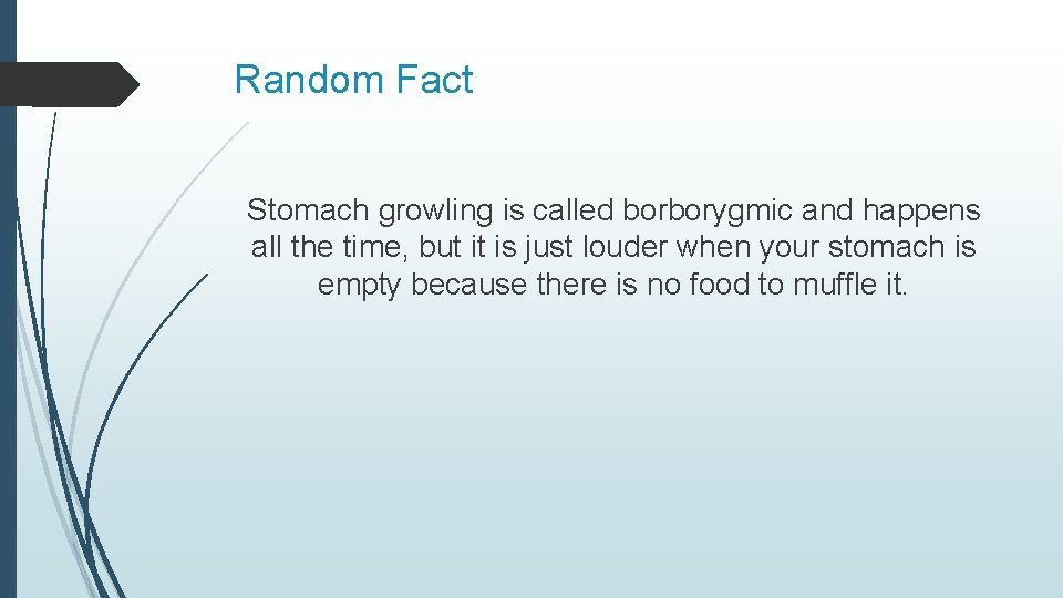 The digestive system Random Fact Stomach growling is