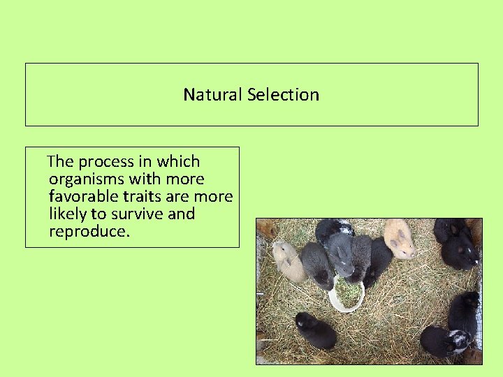 What is Biology aka Chapter 1 Biology and