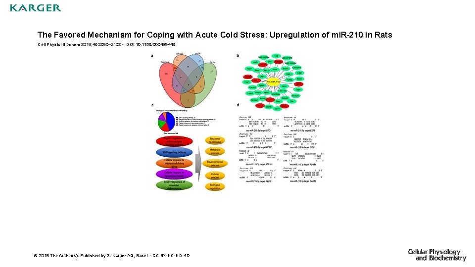 The Favored Mechanism for Coping with Acute Cold