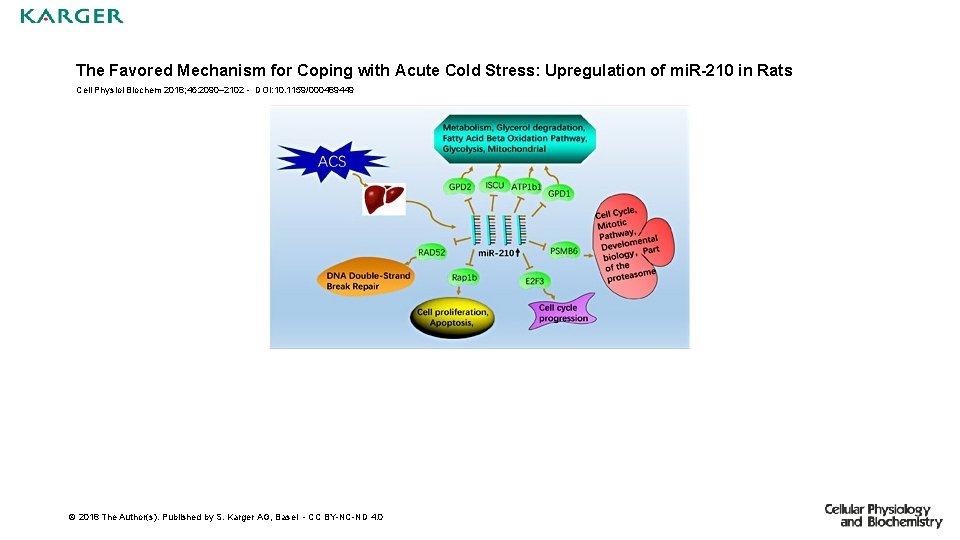 The Favored Mechanism for Coping with Acute Cold