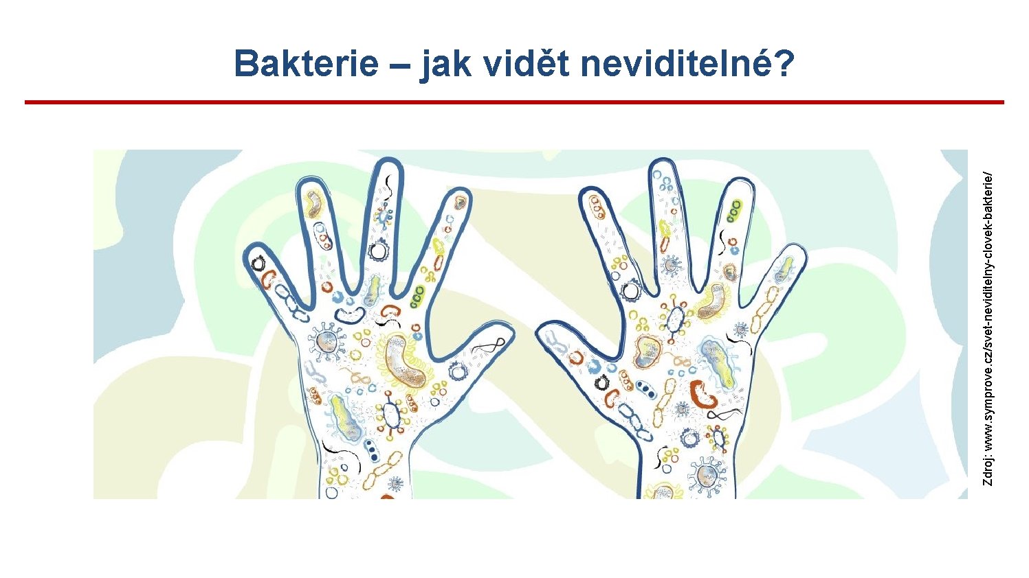 FC 6803 Biosfra Kultivace mikroorganism bakteri Mgr Adla