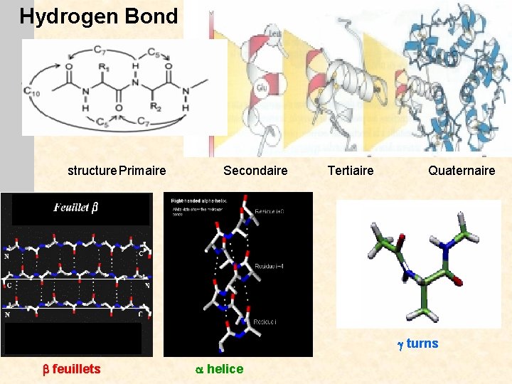 Microwave spectroscopy of biomimetics molecules Isabelle KLEINER ...