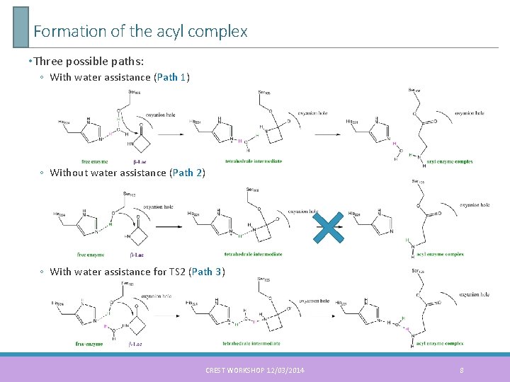 Mechanistic study of CALB catalyzed ring opening polymerization