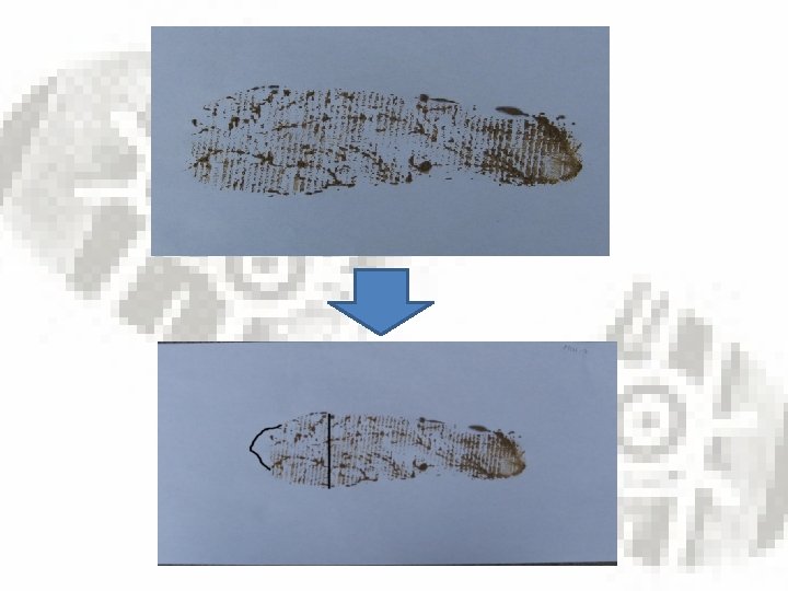 ANALYZING SHOE PRINTS IN A CRIME SCENE By
