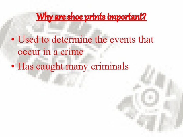 ANALYZING SHOE PRINTS IN A CRIME SCENE By