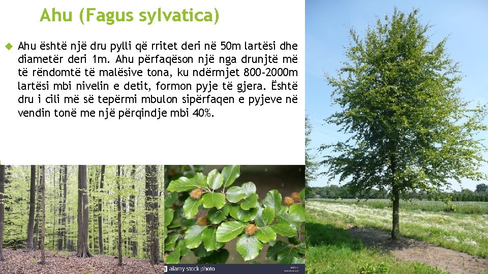 Shkolla e Mesme e Lart e Agrobiznesit dhe