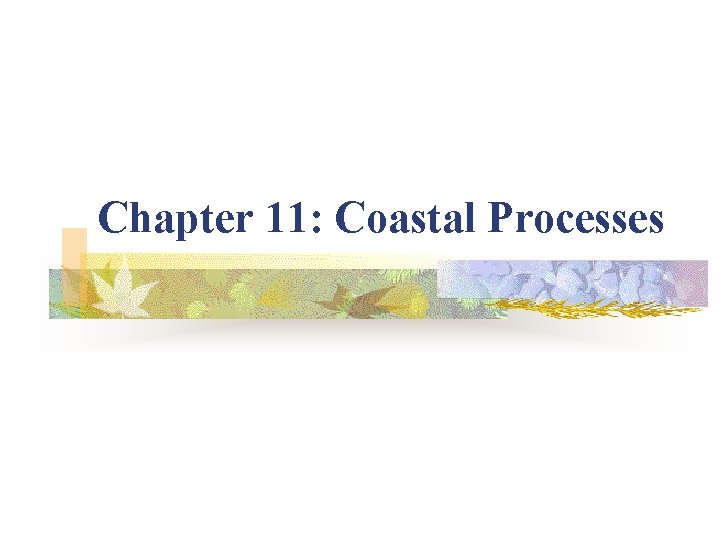 Chapter 11 Coastal Processes Characteristics of the coast