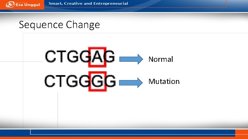 DNA Mutation Dr Henny Saraswati M Biomed What
