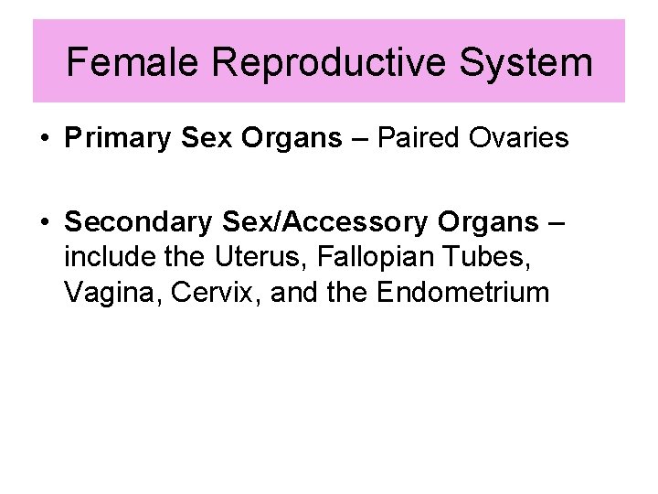 Unit Four Female Reproductive System Female Reproductive System