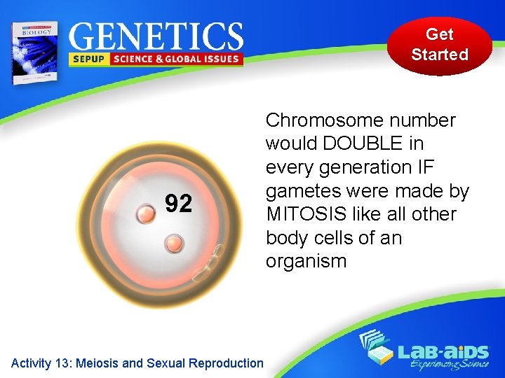 Activity 13 Meiosis and Sexual Reproduction Get Started