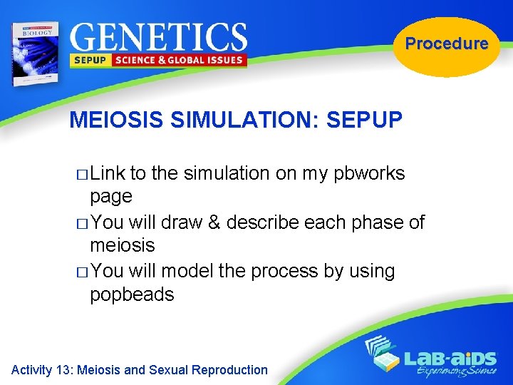 Activity 13 Meiosis and Sexual Reproduction Get Started