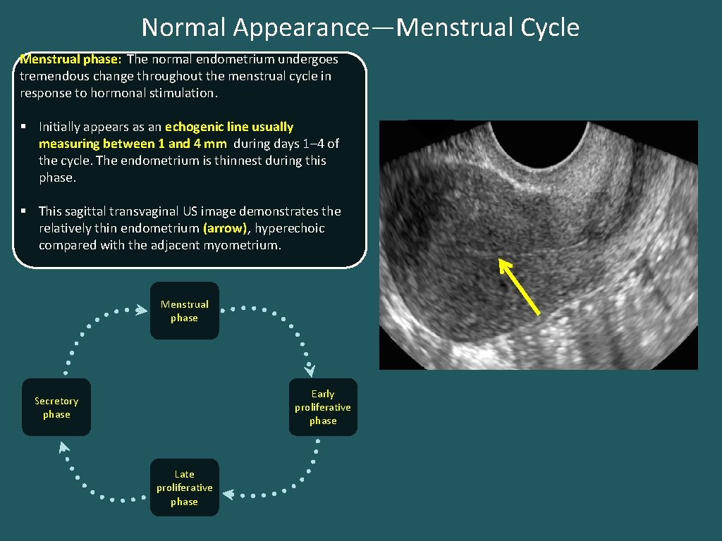 Akshya Gupta MD Amit Desai MD Shweta Bhatt