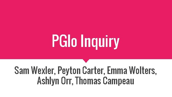 PGlo Inquiry Sam Wexler Peyton Carter Emma Wolters