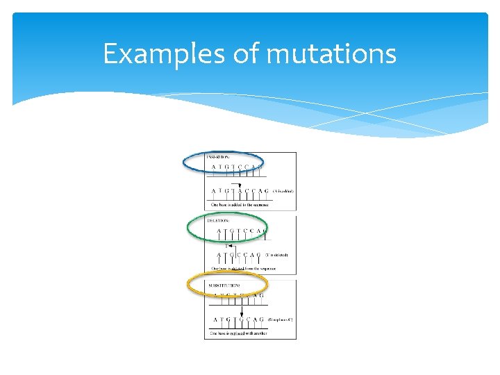 413 Objective Today we will examine the different