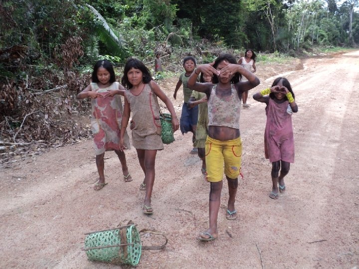 The Xikrin Mebengokre Indigenous People from the North