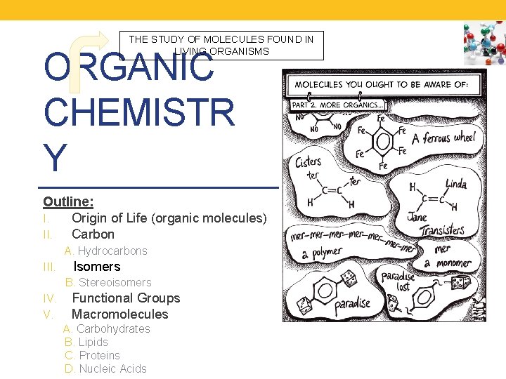 THE STUDY OF MOLECULES FOUND IN LIVING ORGANISMS
