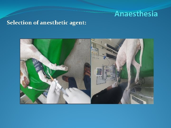 Anaesthesiology Preanaesthetic agent and their classification By Dr