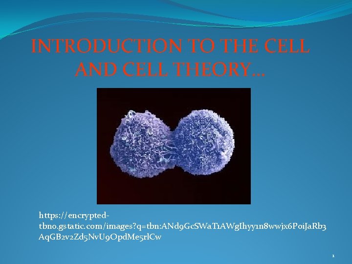 INTRODUCTION TO THE CELL AND CELL THEORY https