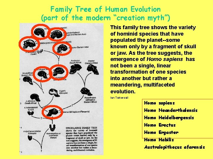 Remember A humanocentric history is our focus Terms