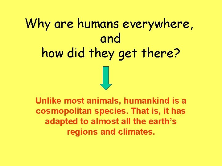 Remember A humanocentric history is our focus Terms