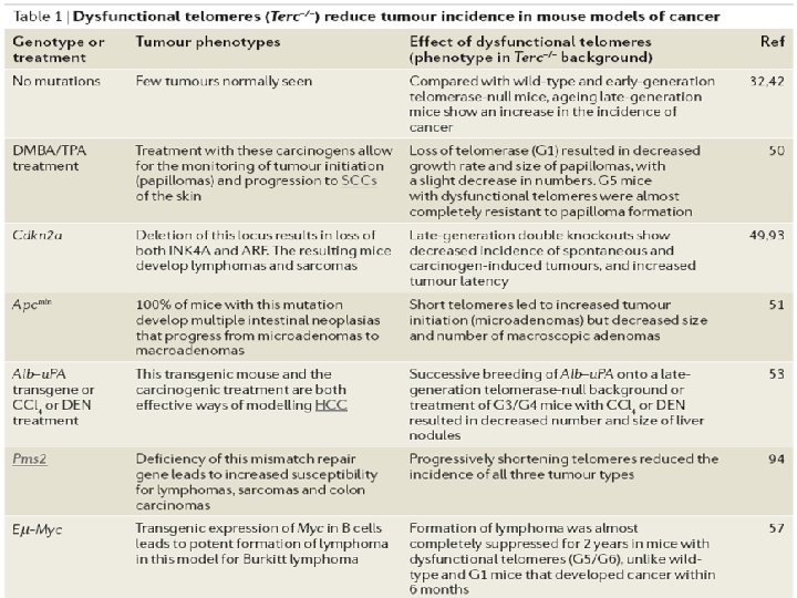 Telomere dysfunction and tumour suppression the senescence connection