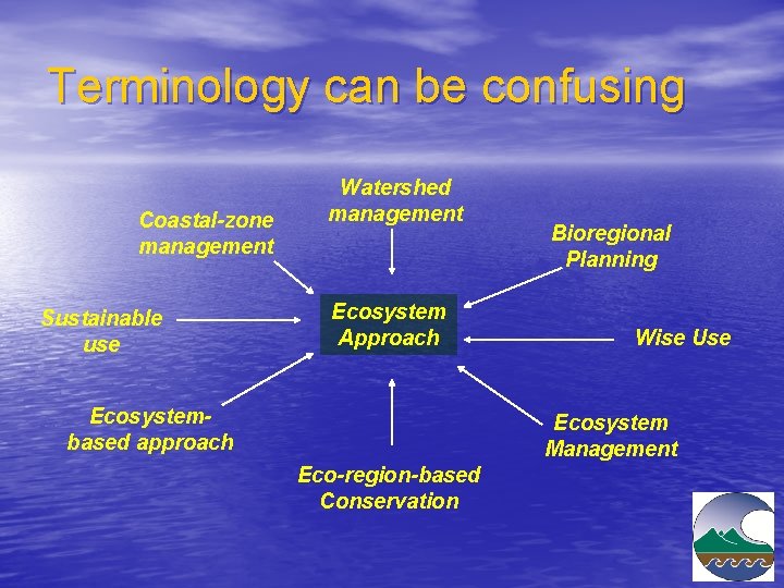 Implementing the Ecosystem Approach The Ecosystem Approach Separating