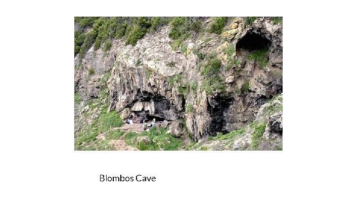 The First Humans The Beginning The First Humans