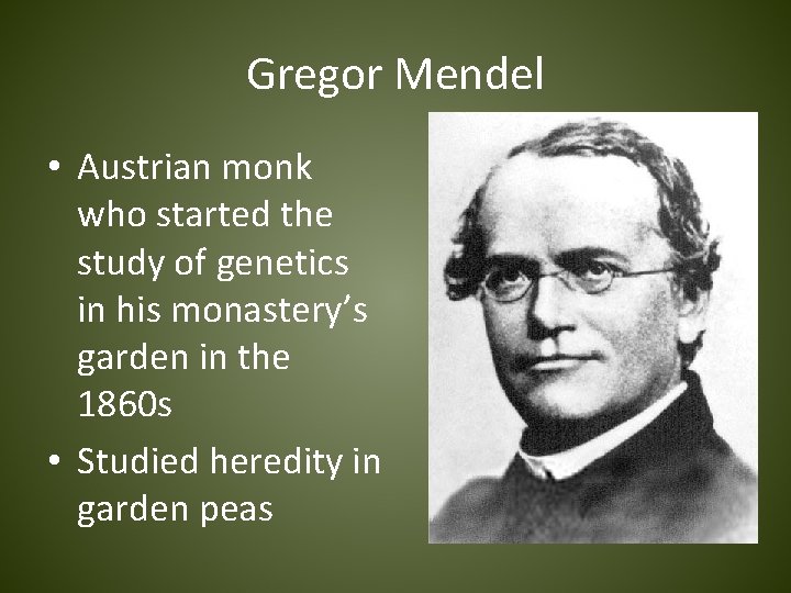 Monohybrid Crosses Gregor Mendel Austrian monk who started