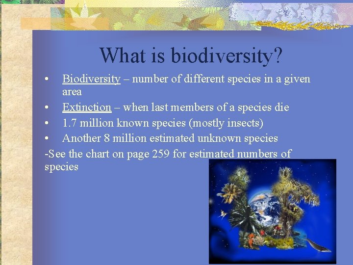 Ch 10 Biodiversity Section 10 1 What is